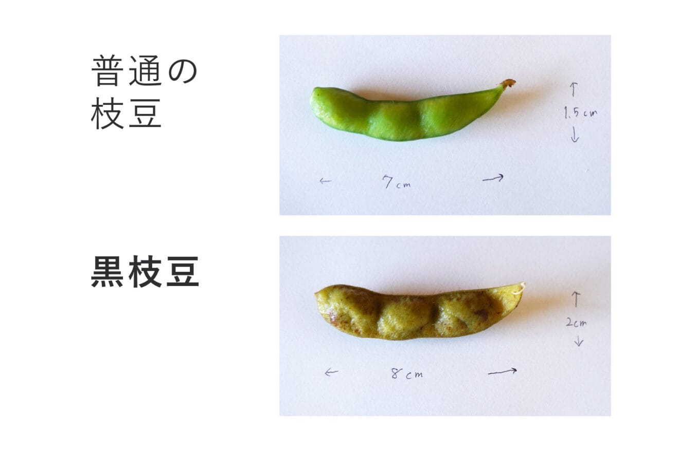 一目瞭然!「黒枝豆」と「普通の枝豆」の違いをご覧あれ! 株式会社いなかの窓|丹波篠山市のホームページ制作会社